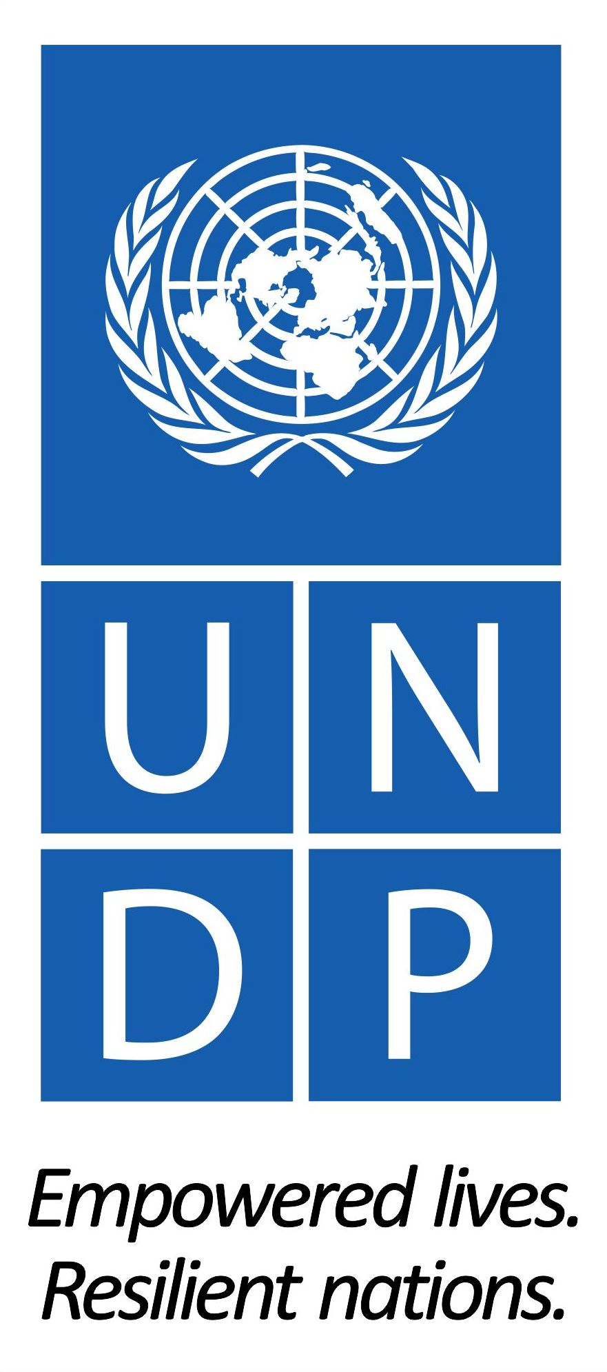 FNs utviklingsprogram (UNDP)