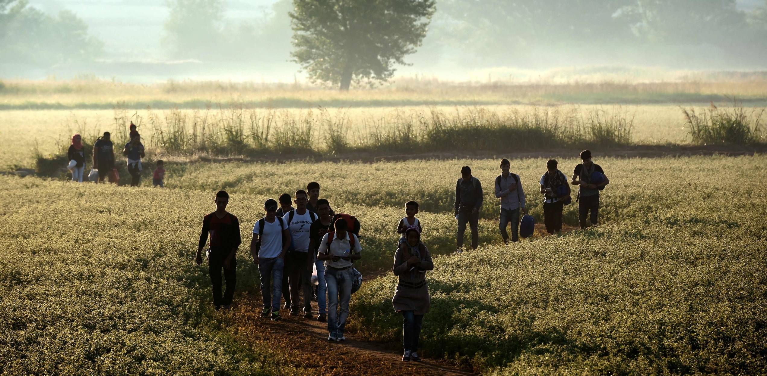 Den internasjonale organisasjonen for migrasjon (IOM)