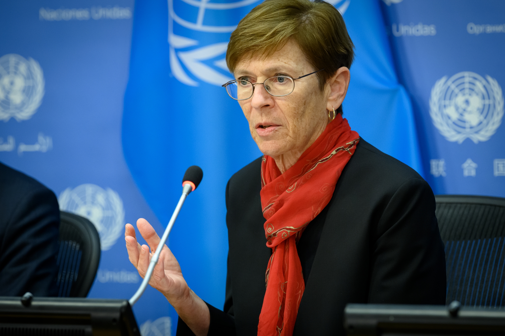 Den internasjonale domstolen